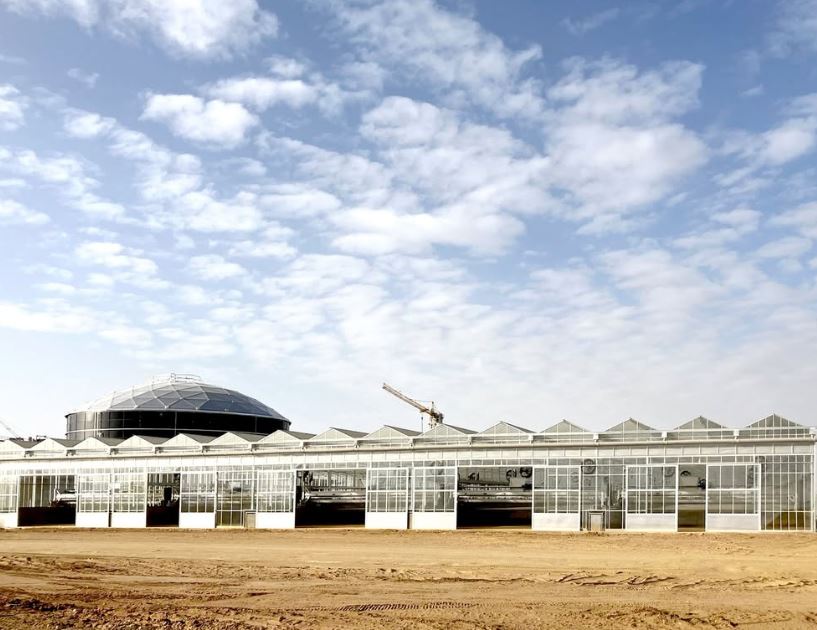 Solar sludge drying greenhouses - Debets Schalke